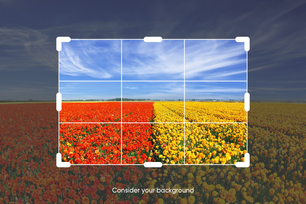 Fisheye Photos: How To Add a Fisheye Effect - Picsart Blog