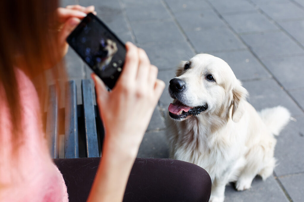 5 adorable pet photography ideas - Picsart Blog