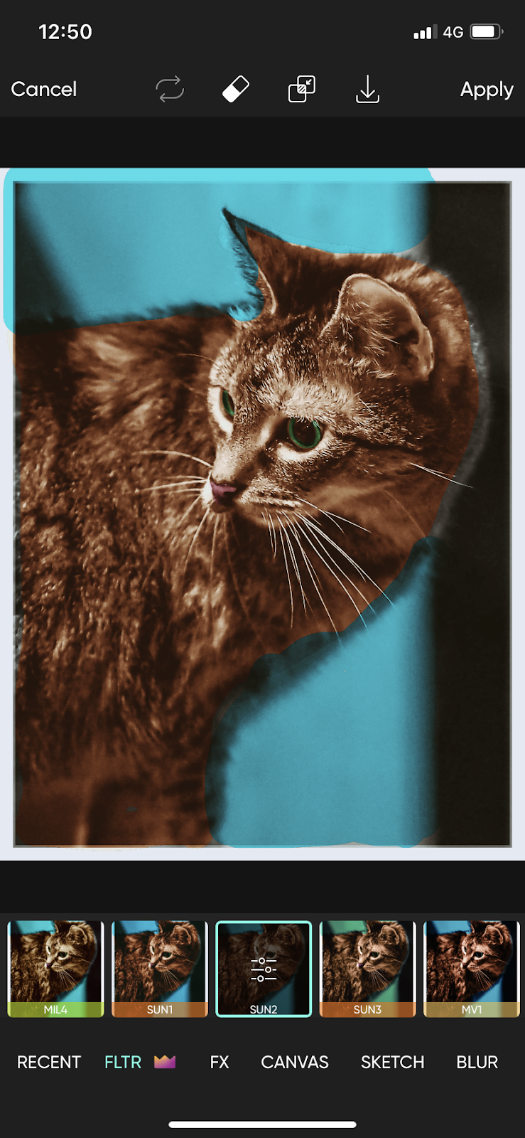 A Guide to How to Add Color to Your Black-and-White Images - Picsart Blog