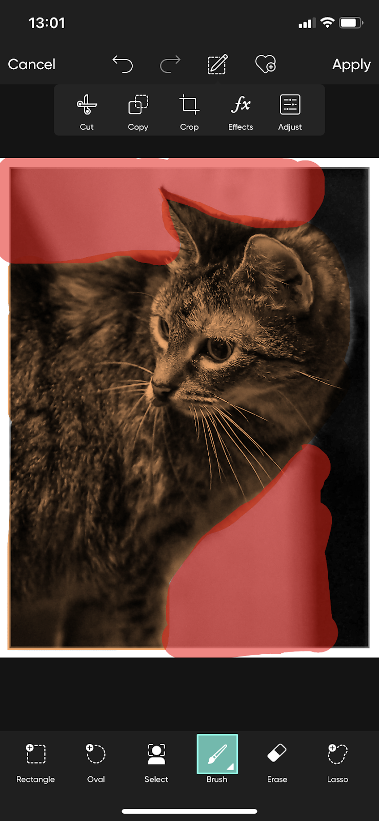 A Guide to How to Add Color to Your Black-and-White Images - Picsart Blog