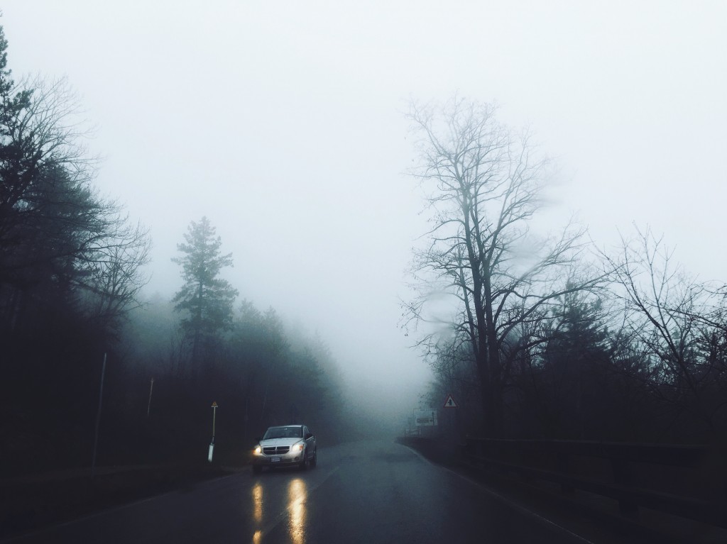 Everything You Need to Know About Fog Photography