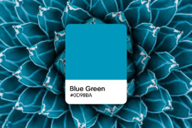 Guide to Teal Green: Combinations and Color Codes - Picsart Blog