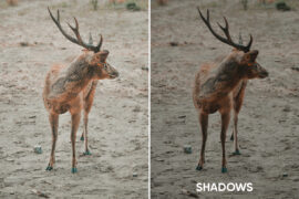 How to edit photos: a guide to improve your skills - Picsart Blog