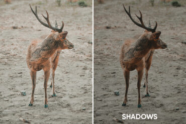 How to edit photos: a guide to improve your skills - Picsart Blog