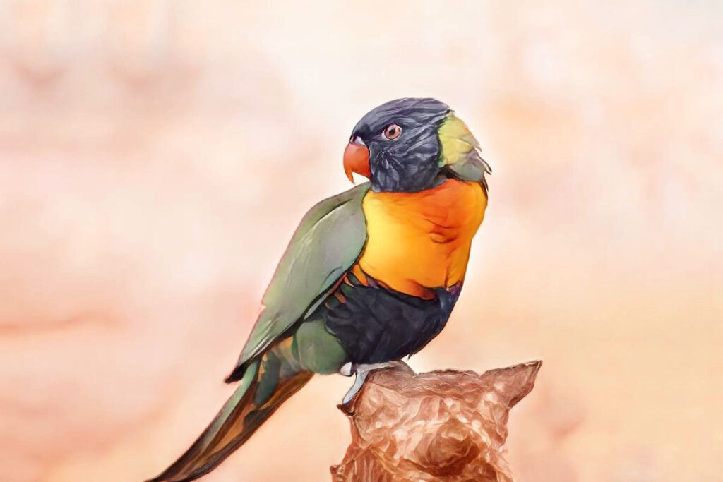 How to turn a picture into a cartoon - Picsart Blog