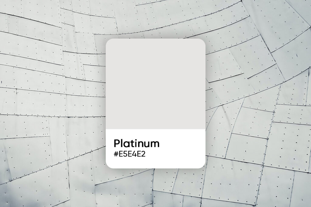 What Color is Silver? Color Code, Shades, And How To Work With It ...