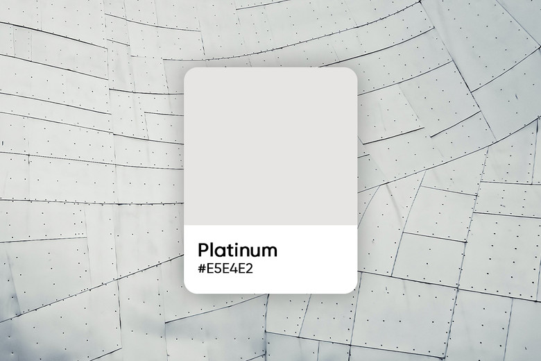 What Color is Silver? Color Code, Shades, And How To Work With It ...