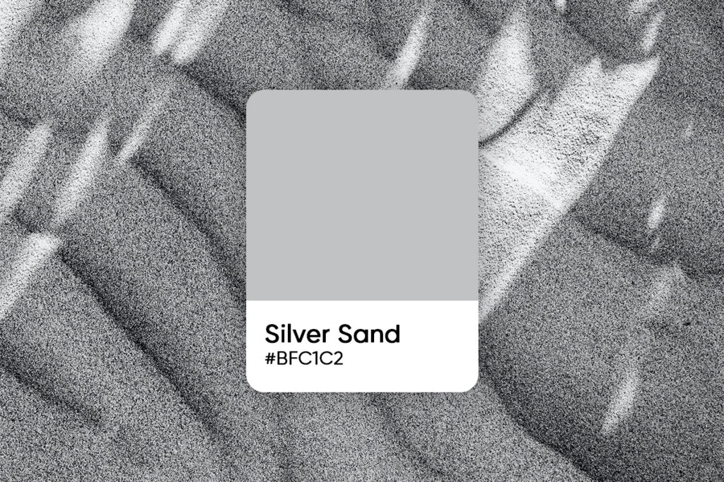 What Color is Silver? Color Code, Shades, And How To Work With It ...