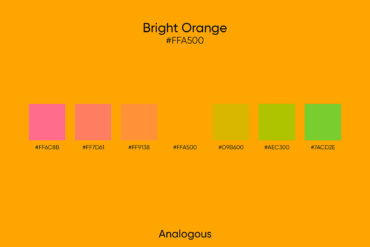 Bright Orange: Shades, Palettes & Similar Colors - Picsart Blog