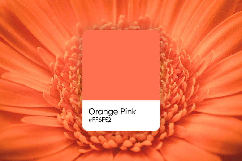 Bright Orange: Shades, Palettes & Similar Colors - Picsart Blog