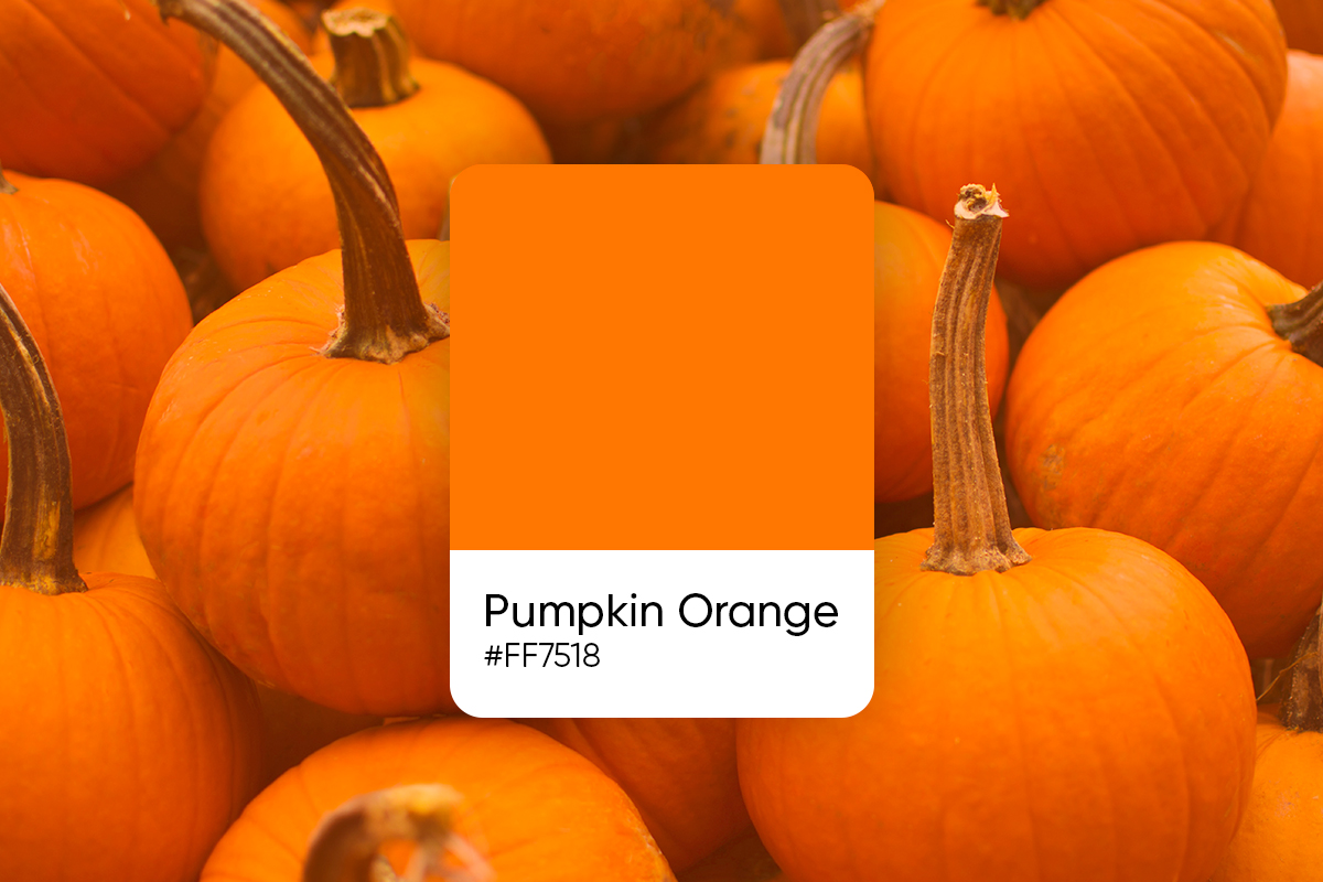 Bright Orange: Shades, Palettes & Similar Colors - Picsart Blog