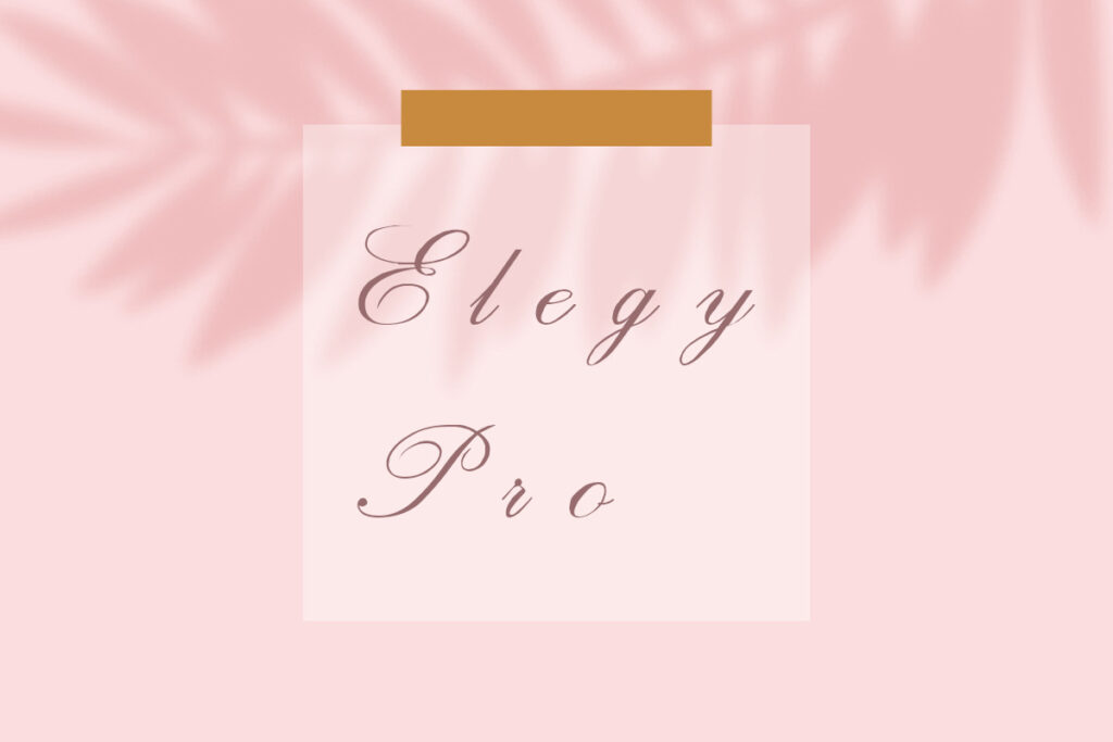 15 Best Free Calligraphy and Lettering Fonts - Picsart Blog
