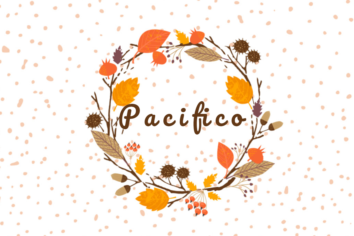 15 Best Free Calligraphy and Lettering Fonts - Picsart Blog