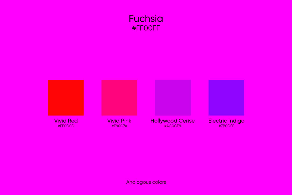 Fuchsia Color: Its Meaning, Similar Colors, and Codes - Picsart Blog