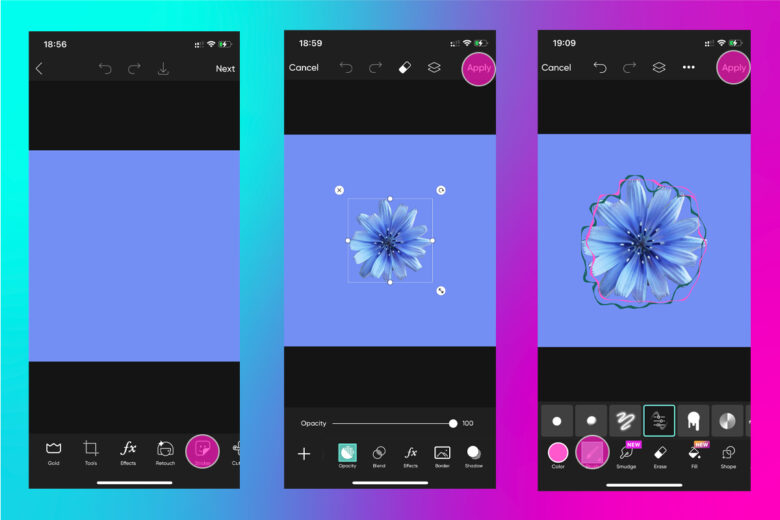 What is Cornflower Blue? Codes, Complimentary Colors, and Meaning ...
