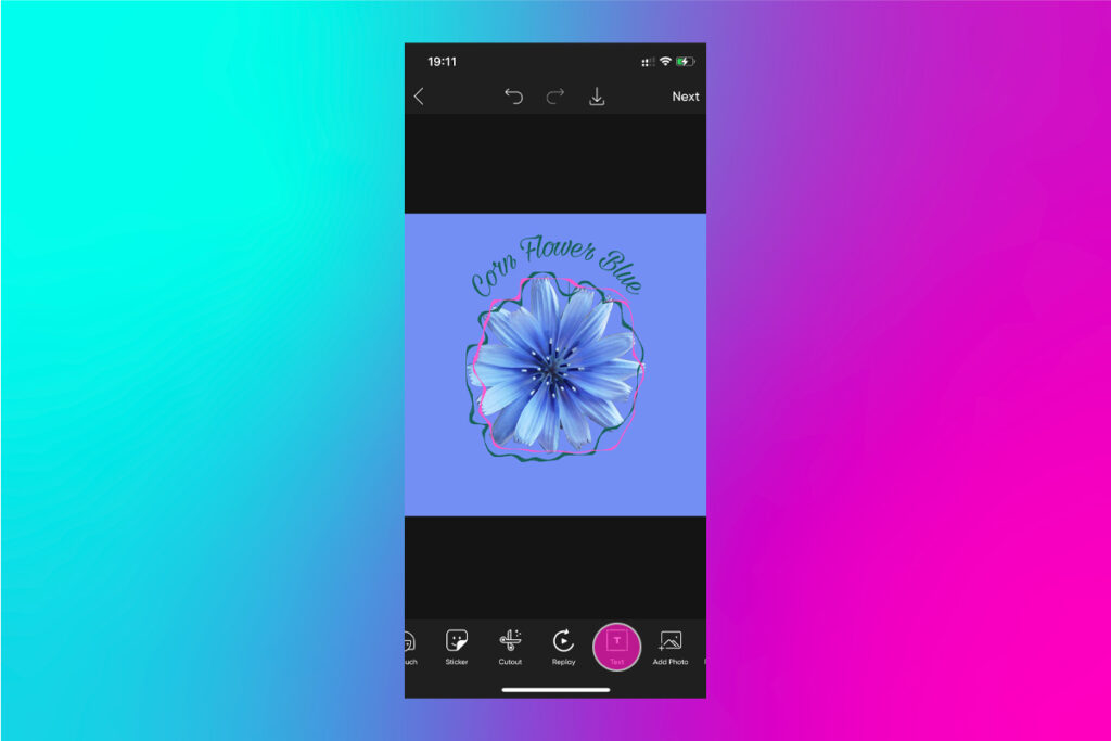 What is Cornflower Blue? Codes, Complimentary Colors, and Meaning ...