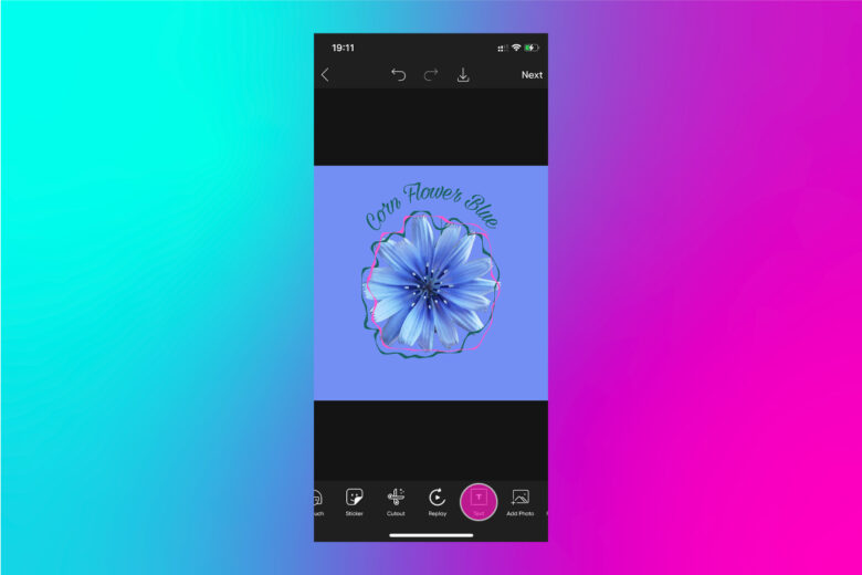 What is Cornflower Blue? Codes, Complimentary Colors, and Meaning ...