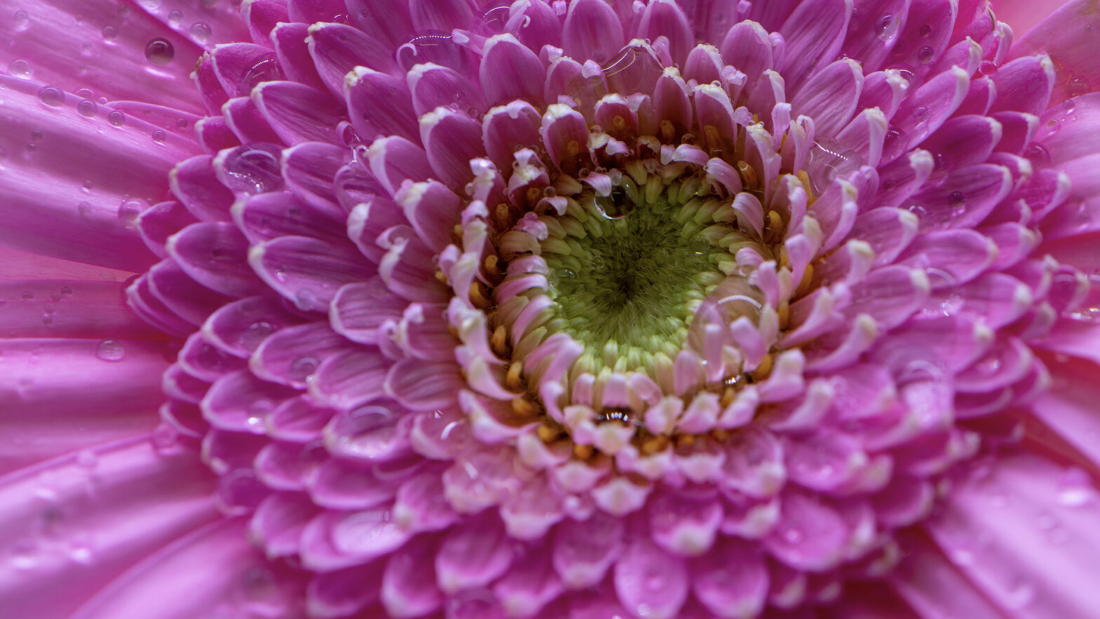 10 Best Tips On How To Make Aesthetic Posts - Picsart Blog