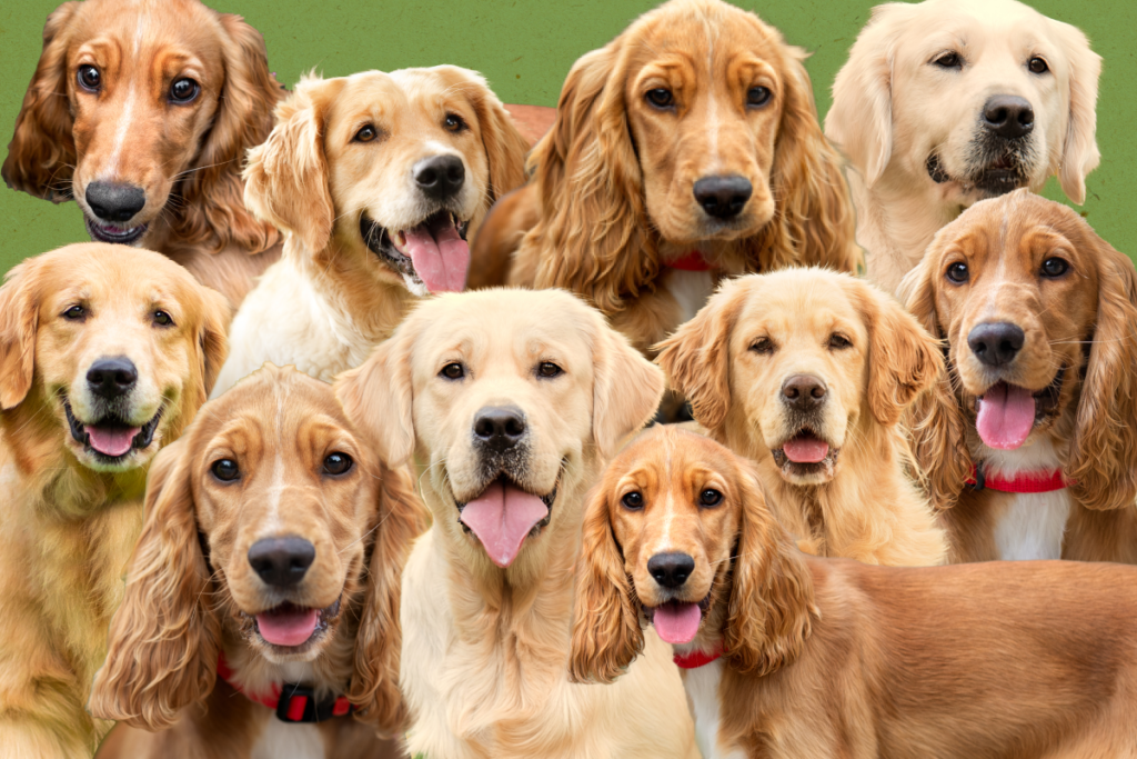 21 personalized photo collage ideas to kickstart your creativity ...