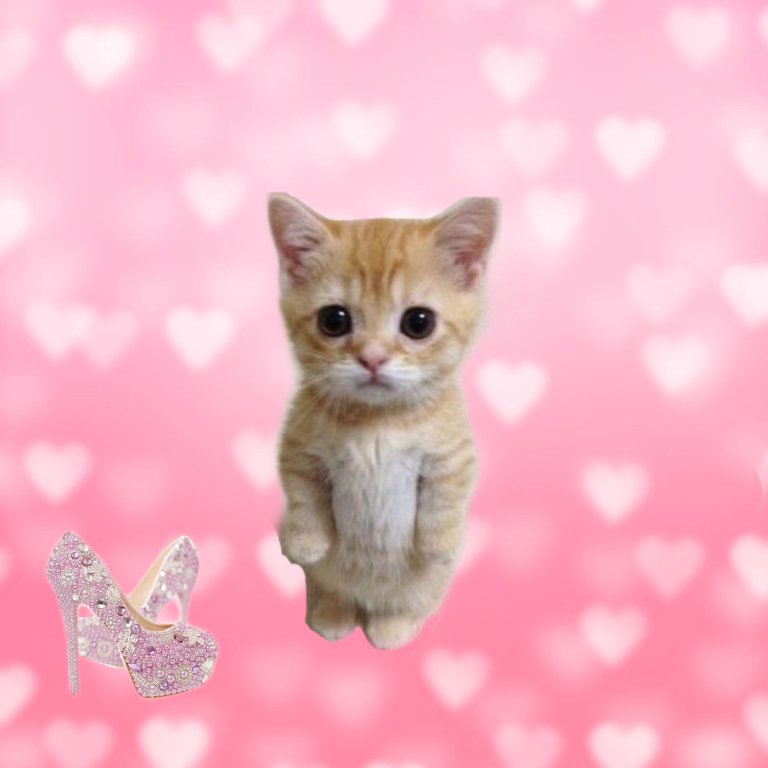 The Art of Yassifying an Image - Picsart Blog