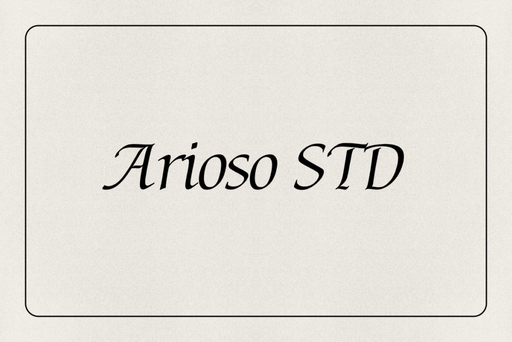 The ultimate guide to calligraphy fonts